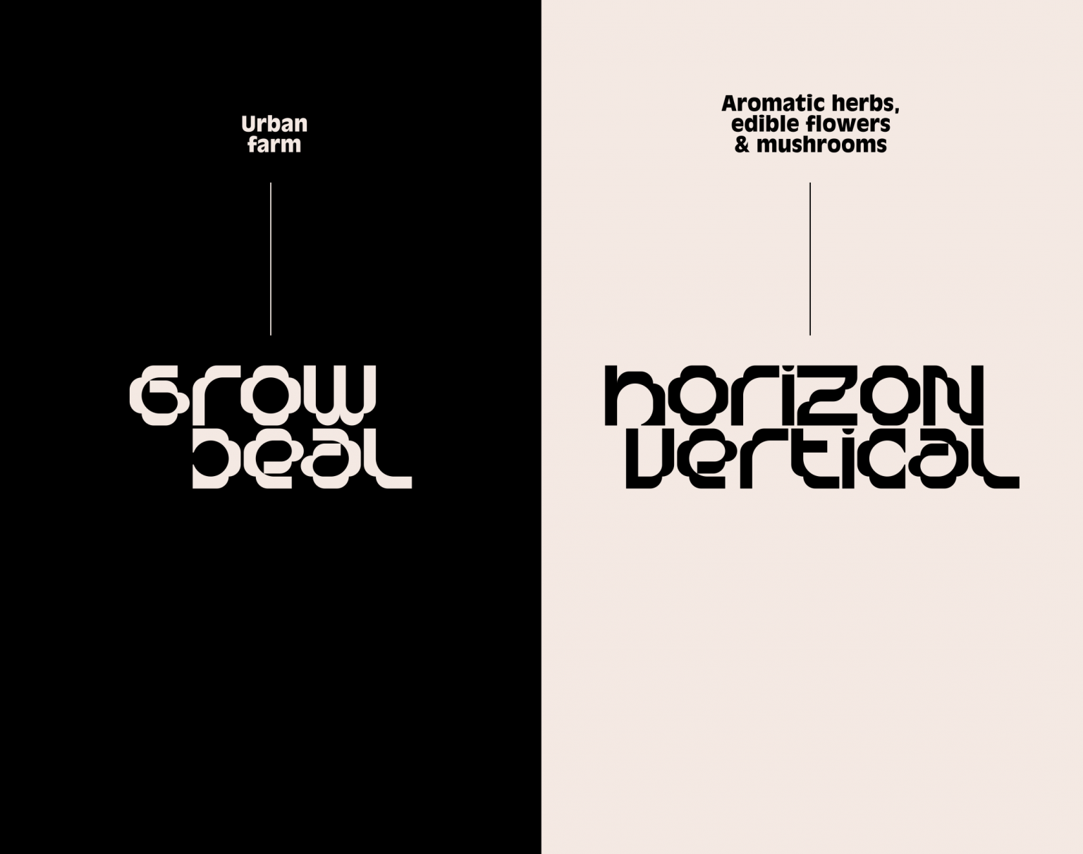 Grow Deal - Branding / édition / Identité visuelle / Typographie
